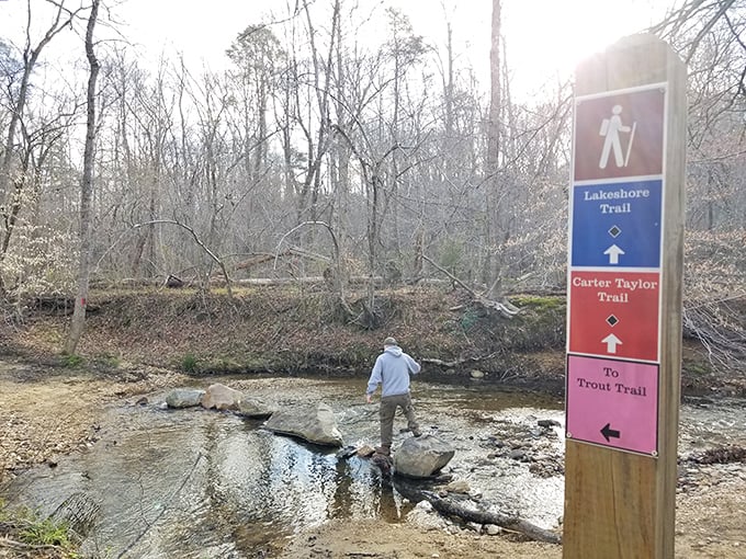 Trail markers that actually make sense! A revolutionary concept for anyone who's ever been "temporarily misplaced" in the woods.