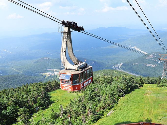 "I can see my house from here!" The aerial tramway delivers mountain-top views without the blisters, though your fear of heights might disagree.