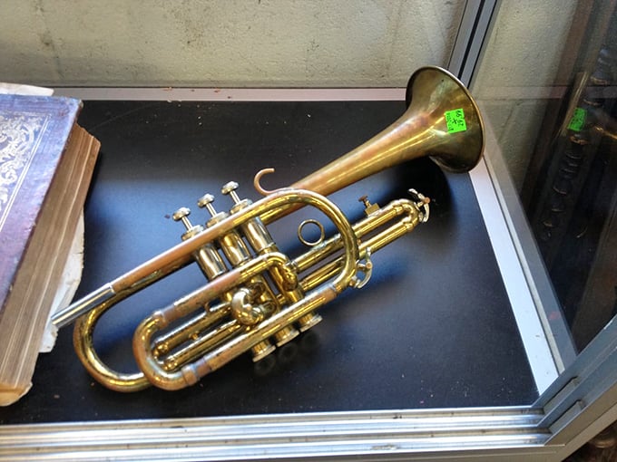 A brass trumpet waits silently for its next performance. For under $20, you could be the next Miles Davis—or at least sound terrible trying.