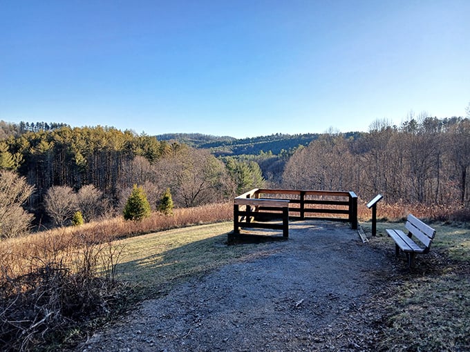 Nature's observation deck – where contemplating life's big questions comes with a view that makes the answers seem less important.