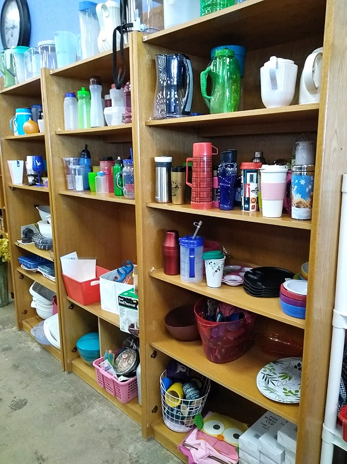 The water bottle aisle – where hydration meets hoarding and every outdoor adventure gets its perfect liquid companion.