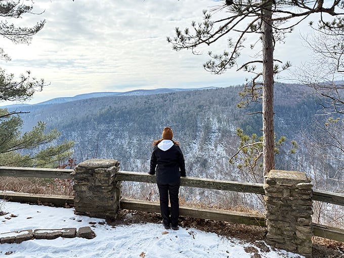 Winter transforms the canyon into a monochromatic masterpiece, where silence is as breathtaking as the view.