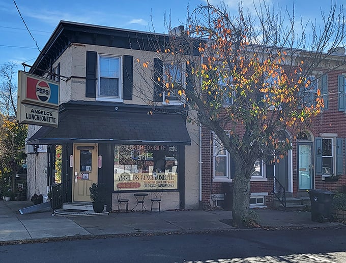 Neighborhood gems tucked between houses serve the best kept secrets—authentic flavors without fancy pretensions.