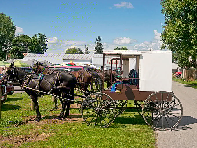 Belleville's country roads wind through farmland where the same families have been perfecting recipes for generations.