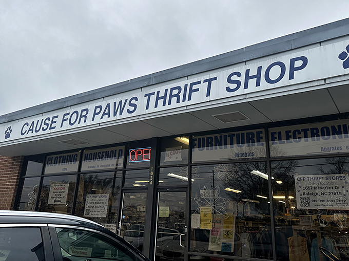 "Cause for Paws" isn't just a clever name – every purchase here helps furry friends find forever homes.