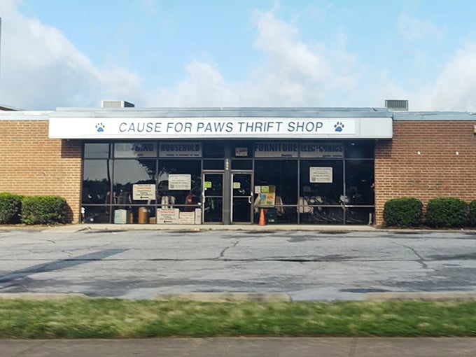 Pawsitively delightful shopping where your fashion finds fund furry friends. Style and compassion in one convenient location!
