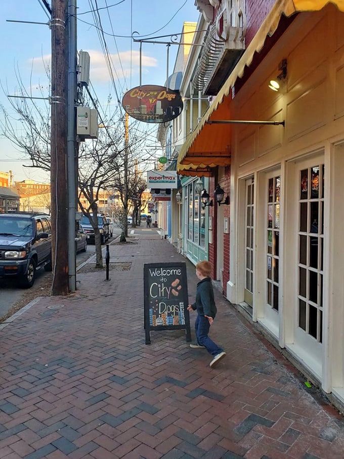Downtown Richmond energy captured in brick and mortar – City Dogs brings urban flair to classic comfort food.