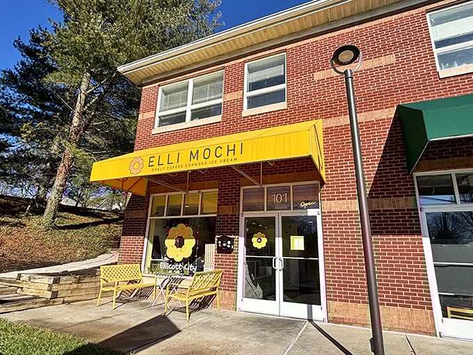 That bright yellow awning signals something different – a cross-cultural donut experience that will forever change your texture expectations.