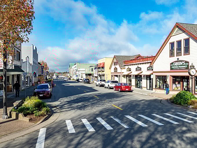 Redwood country living where ancient trees meet modern comfort in perfect small-town harmony.