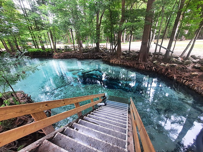 "Ginnie Springs' blue hole looks like someone dropped a piece of sky into the forest. Those wooden steps are basically an invitation to summer joy."
