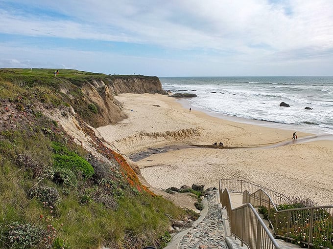 Half Moon Bay harbor bustles with fishing boats and weekend sailors chasing Pacific Ocean adventures.