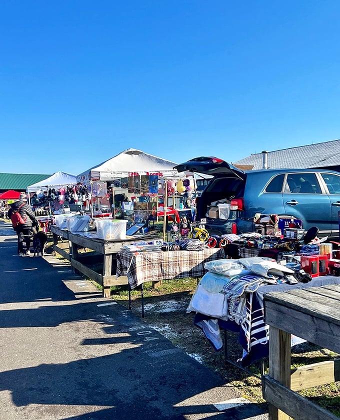 Rice's Market spreads across Bucks County farmland like a weekly festival of finds and friendships.