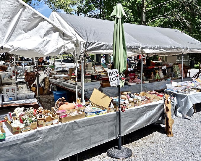 Under white tents at Shupp's Grove, tables overflow with potential treasures, from grandma's china to yesterday's collectibles.
