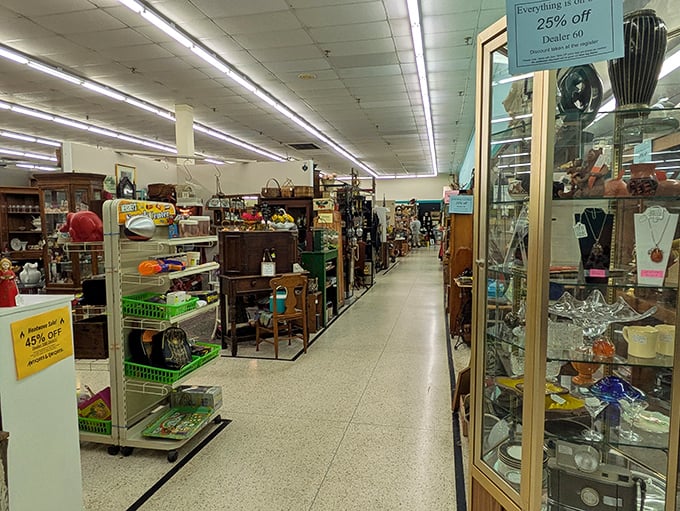 Wide aisles invite leisurely exploration through booths packed with conversation-starting vintage pieces and collectibles.