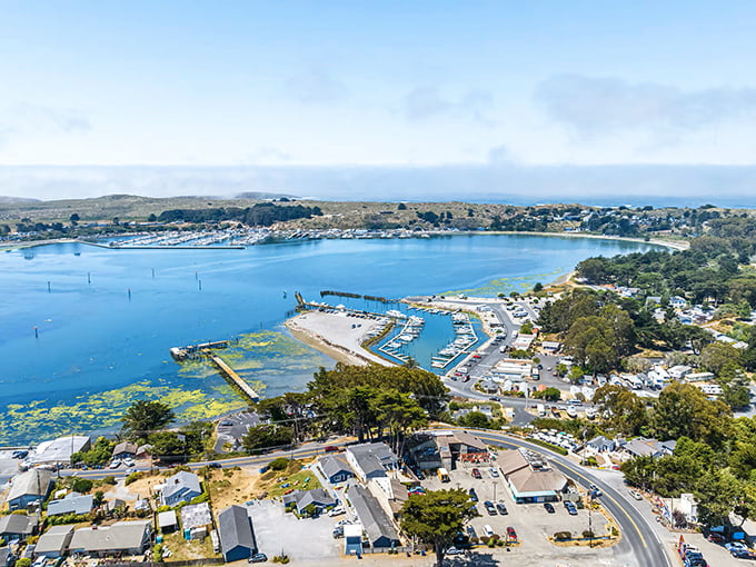 Fishing village authenticity meets dramatic coastline where Dungeness crab boats return with tomorrow's restaurant specials aboard.