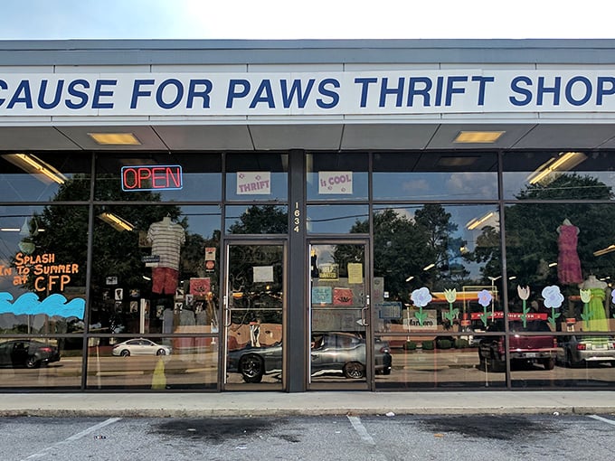 Those windows showcase more than clothes—they display hope for animals in need. Shopping never felt so warm and fuzzy!