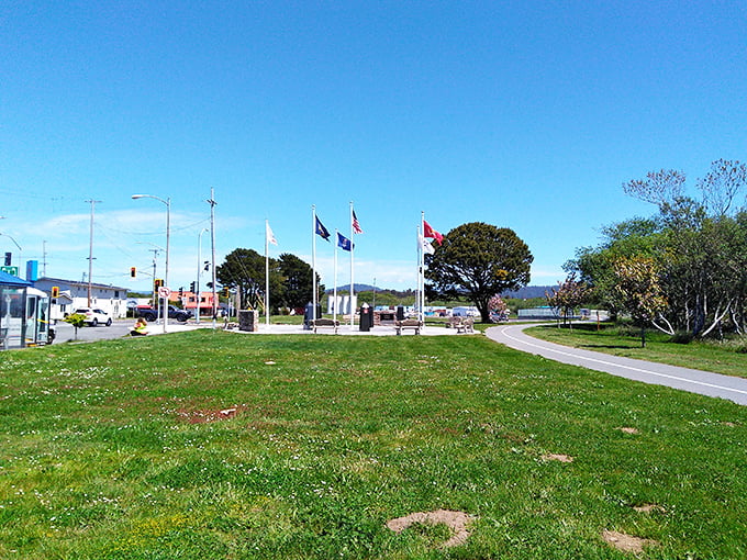 Community green spaces provide free entertainment and peaceful gathering spots for neighbors who actually know each other.