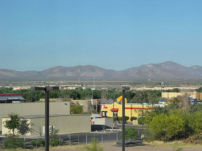 Rural Arizona charm meets practical living in landscapes that prove the best things in life are often free. 