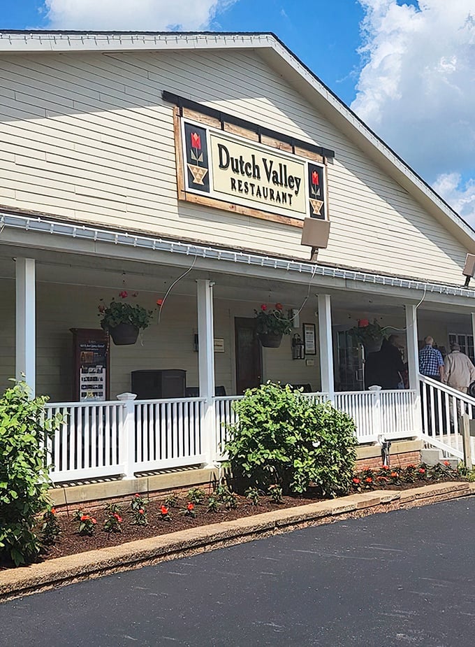 That classic country charm promises the kind of meals that create lasting family memories.