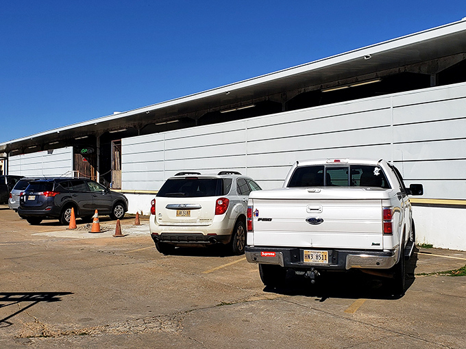 That parking lot tells the whole story - when treasure hunters arrive this early, you know the deals are legendary.