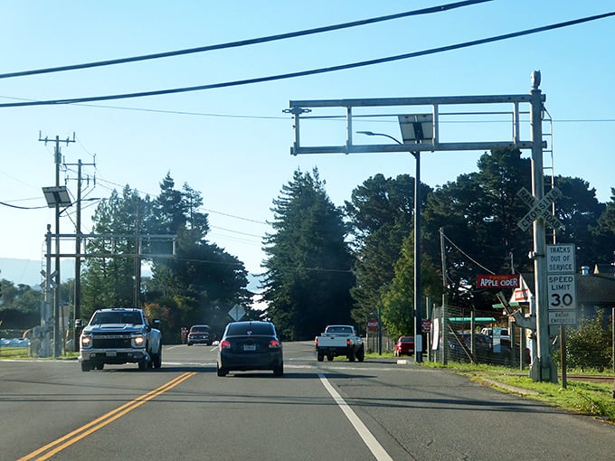 Fortuna's streets blend logging heritage with family-friendly charm that feels authentically Northern Californian.