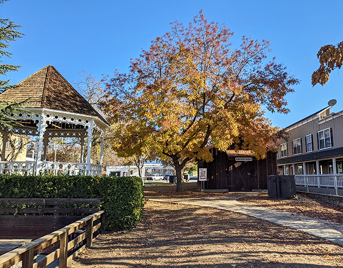 Beneath the golden-hued tree, this spot radiates the timeless beauty of California’s past.