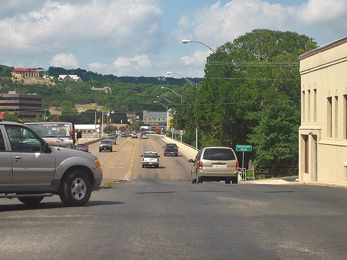 Tree-covered landscape stretches endlessly, offering million-dollar views at Social Security prices in Kerrville.