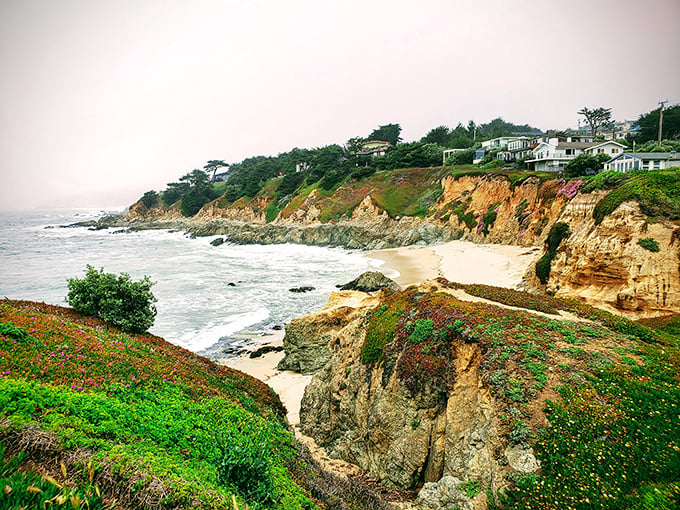 Montara's coastal bluffs provide the perfect vantage point for watching the Pacific's endless dance with shore.