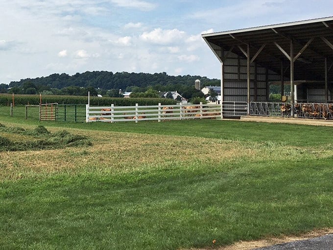 Modern farming meets traditional values in this working landscape, where efficiency and heritage shake hands across the generations.