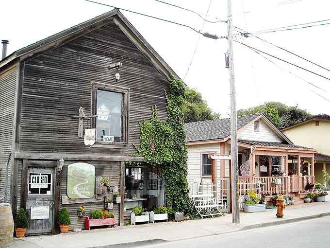 Main Street Pescadero: where time forgot to set its alarm clock and nobody's complaining about it.
