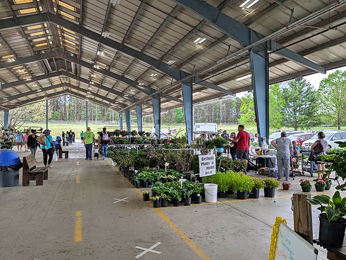 Fresh plants and garden supplies flourish under the spacious covered areas of this Colfax market gem.