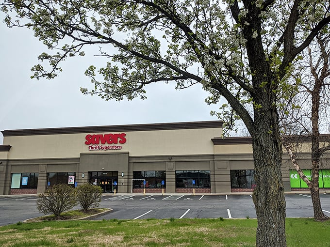 Under those trees, this store offers shade from high prices and harsh budgets.