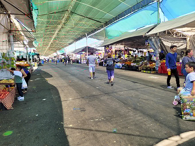 Fresh fruits and vegetables add natural color to this multicultural marketplace where communities gather weekly.