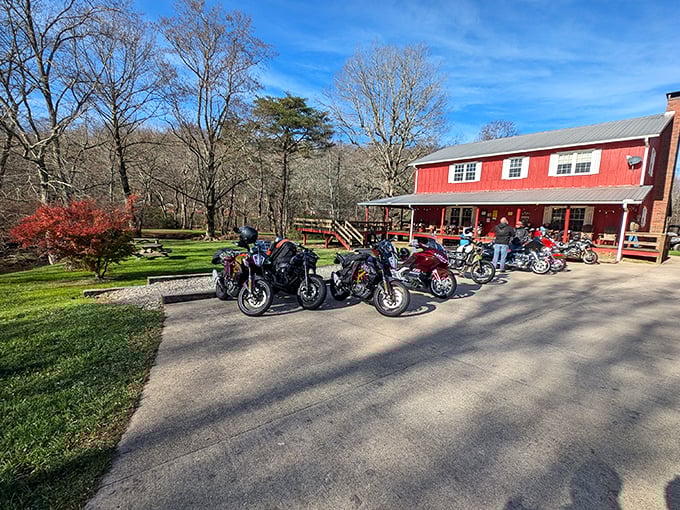 Suches welcomes bikers and nature lovers alike to Georgia's "Valley Above the Clouds"—elevation included, attitude optional.