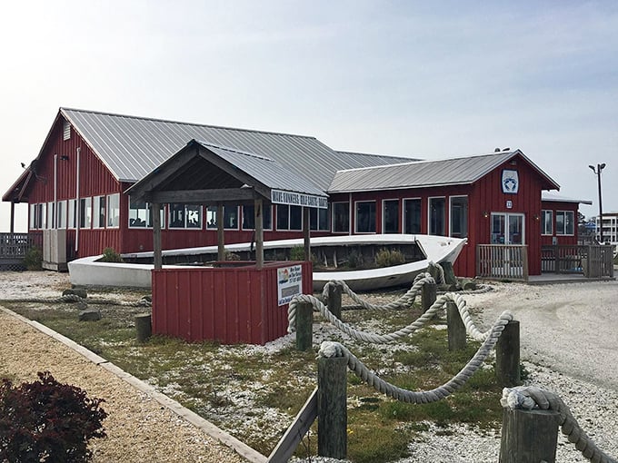 That old boat outside isn't just decoration—it's a reminder that your dinner probably swam nearby before landing on your plate at The Shanty.