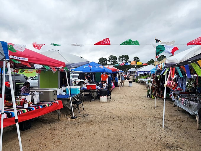 The US 1 Metro Flea Market in West Columbia buzzes with vibrant stalls and colorful decorations, offering a lively atmosphere for bargain hunters and treasure seekers alike.