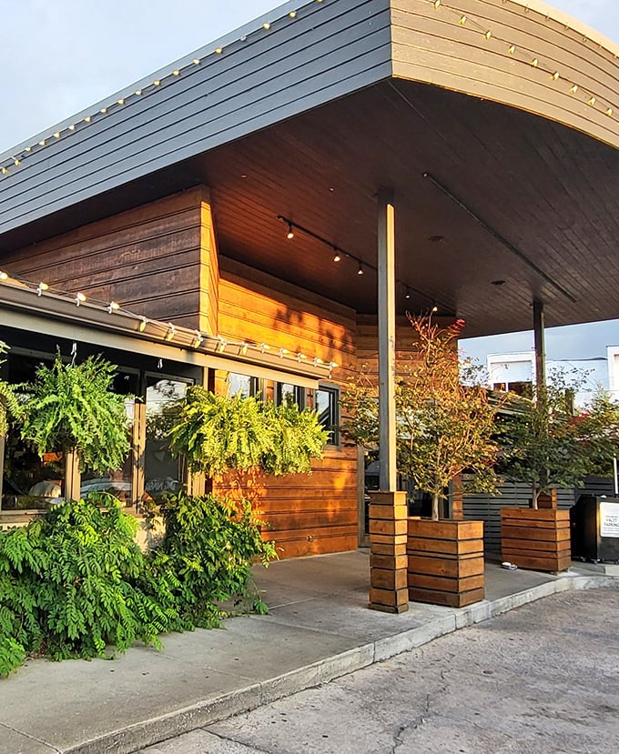 Those curved wooden walls could shelter a Viking longboat – or just really fantastic shrimp and grits.