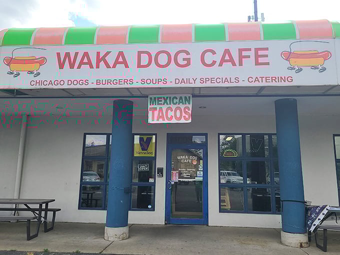 The "MEXICAN TACOS" sign at Waka Dog Cafe hints at their menu diversity. Why choose between hot dogs and tacos when you can have both?