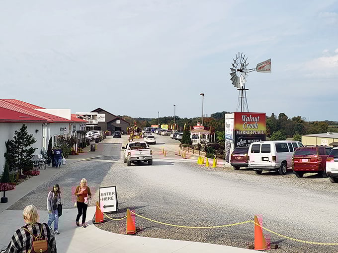 Those familiar windmill decorations remind you that some of Ohio's best shopping happens in Amish country.