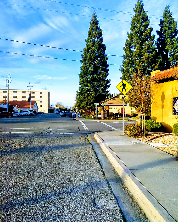 Those Sutter Buttes watching over Yuba City - nature's skyscrapers, no elevator required!