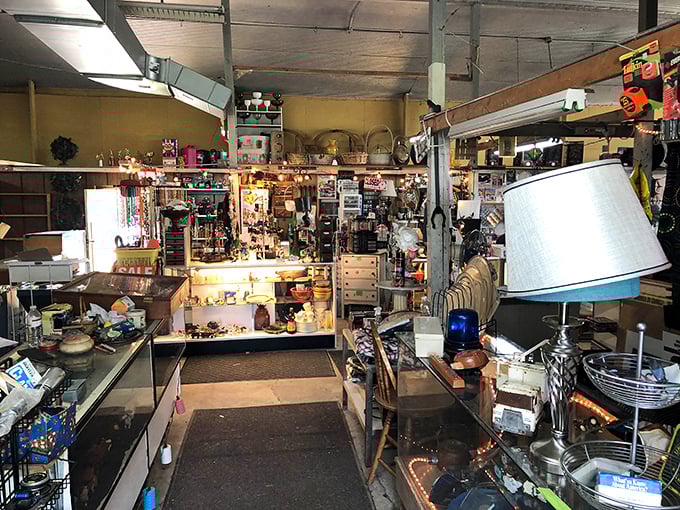 The organized chaos of a veteran vendor's booth. That blue lamp could illuminate your reading nook or signal aliens—versatility is key.