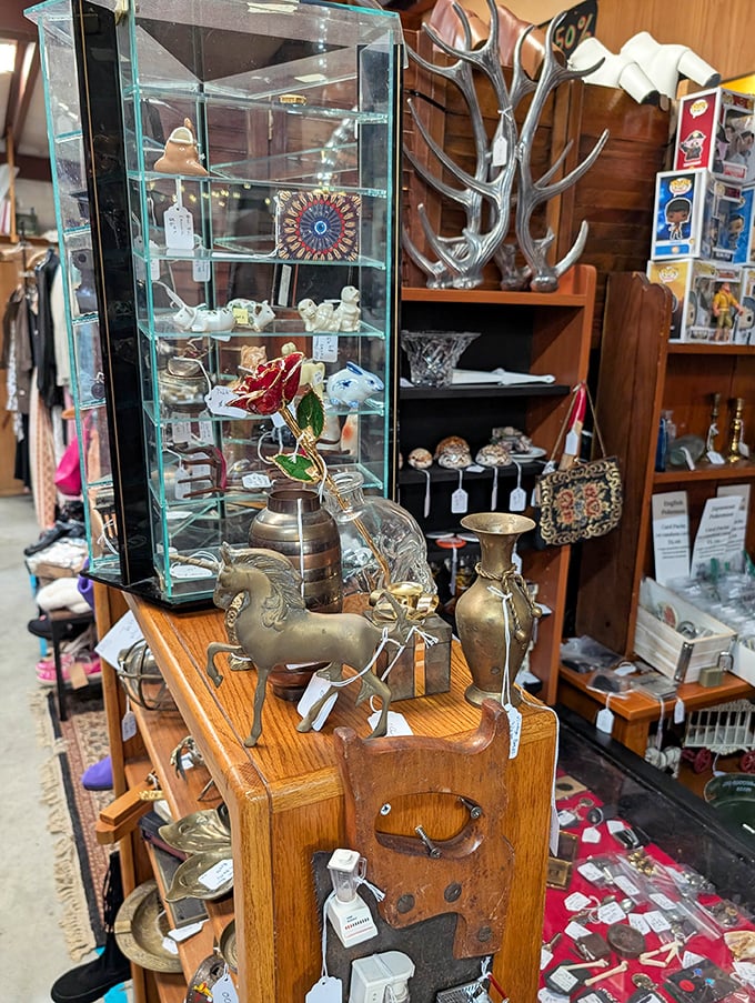 This display case doesn't just hold trinkets—it preserves memories, stories, and craftsmanship from when things were built to last.