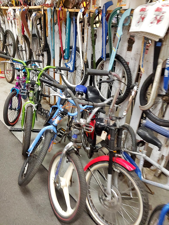 Bicycle heaven for wheel enthusiasts – from retro cruisers to modern rides, all waiting for their next adventure down Pennsylvania's scenic trails.