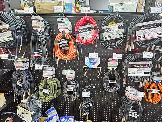 A rainbow of audio cables hanging like technological vines in this electronic jungle. Musicians and sound techs, your treasure awaits!