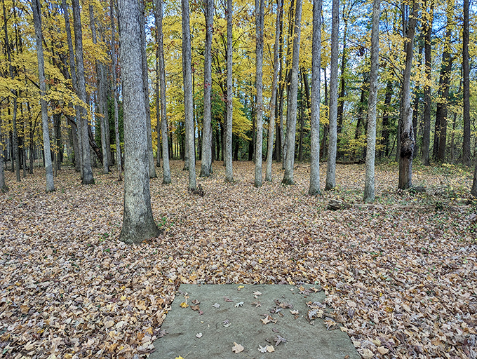 When Ohio decides to show off, it doesn't hold back – autumn here is nature's mic drop.
