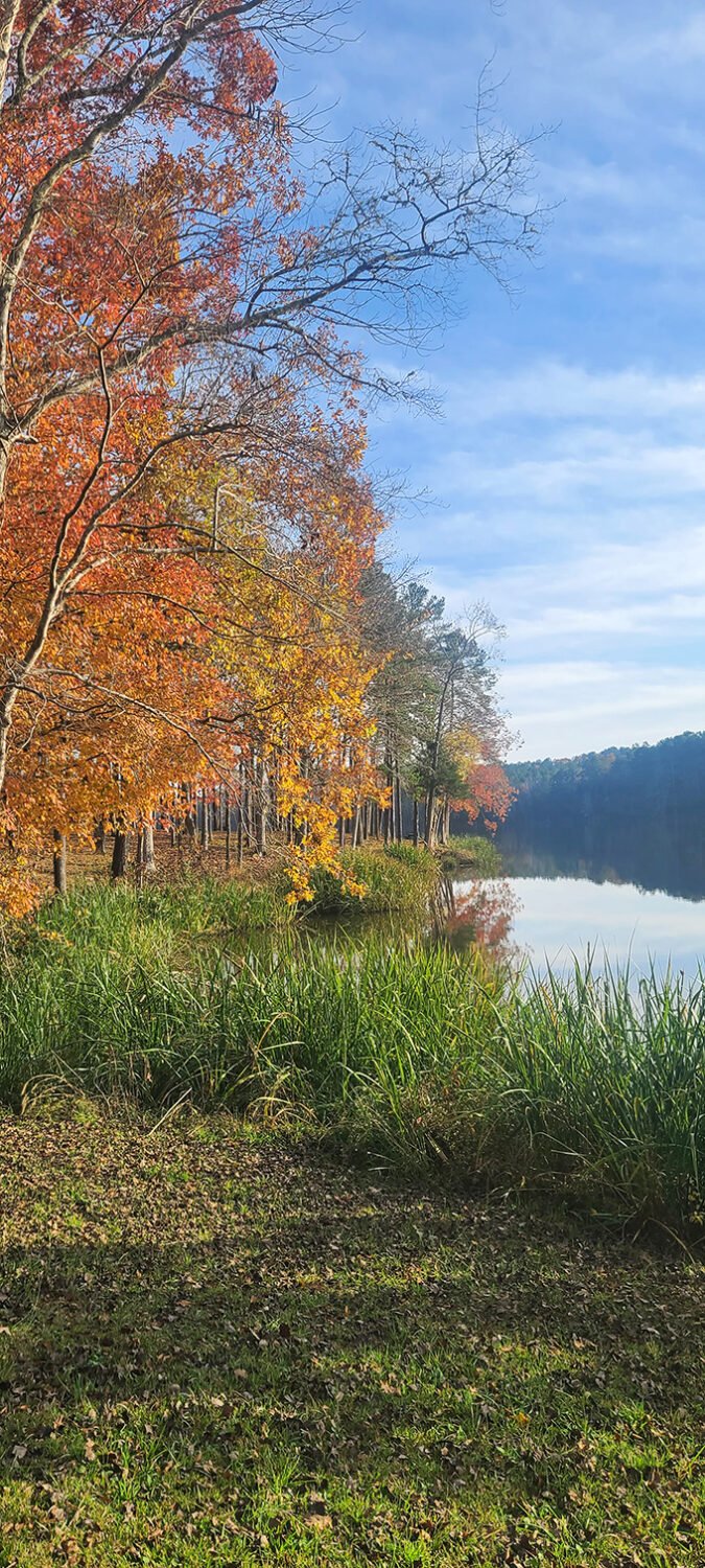 Autumn paints Chester State Park with a palette that would make Bob Ross weep with joy—vibrant oranges and yellows reflecting perfectly in the still waters.