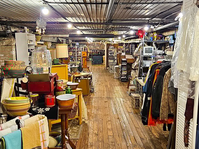 The basement reveals itself like a secret level in a video game, wooden floors creaking with promises of undiscovered treasures.