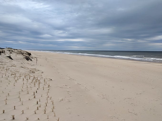 Winter beaches offer solitude that summer crowds can only dream about. The ocean doesn't close for the season—it just gets more exclusive.