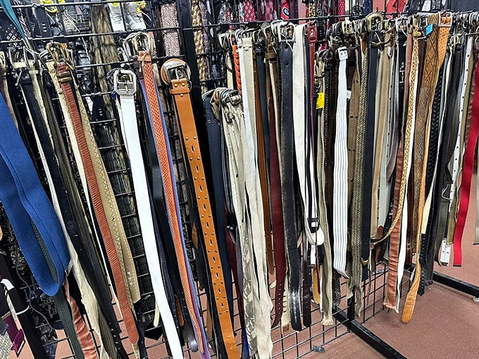 Belt bonanza! Every color, style, and size imaginable hangs in perfect formation, waiting to perform the noble duty of keeping pants where they belong.