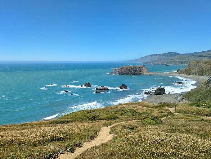 Hidden coves reveal themselves like California's best-kept coastal secrets waiting to be discovered.